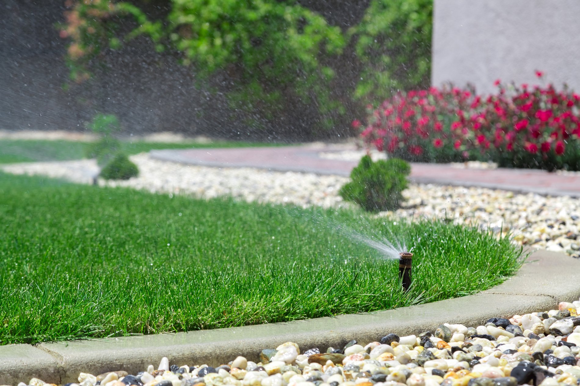7 Smart Ways to Save Water and Money with Your Irrigation System